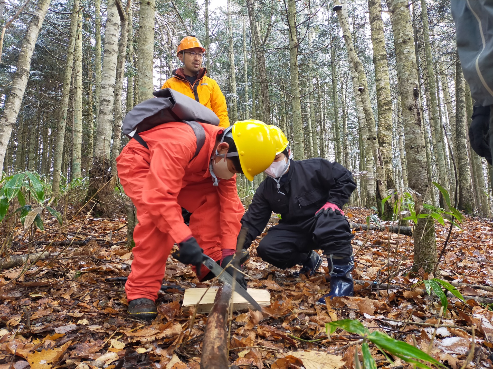 イベント情報 | サマースクール「INFINITY SUMMER SCHOOL 2023」開催のお知らせ | インフィニティ国際学院 中等部 ...